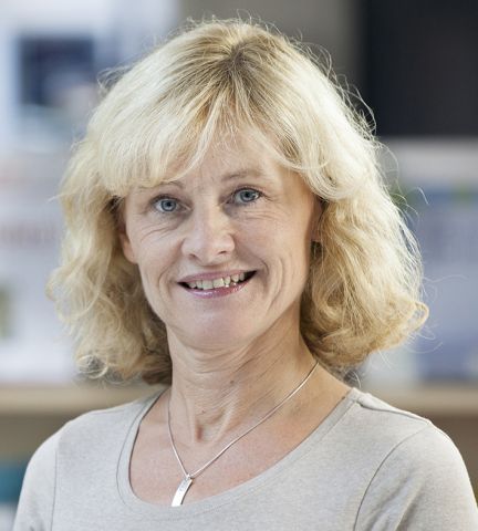 Swedish Dementia Centre – for a Dementia Friendly Society | Demenscentrum
